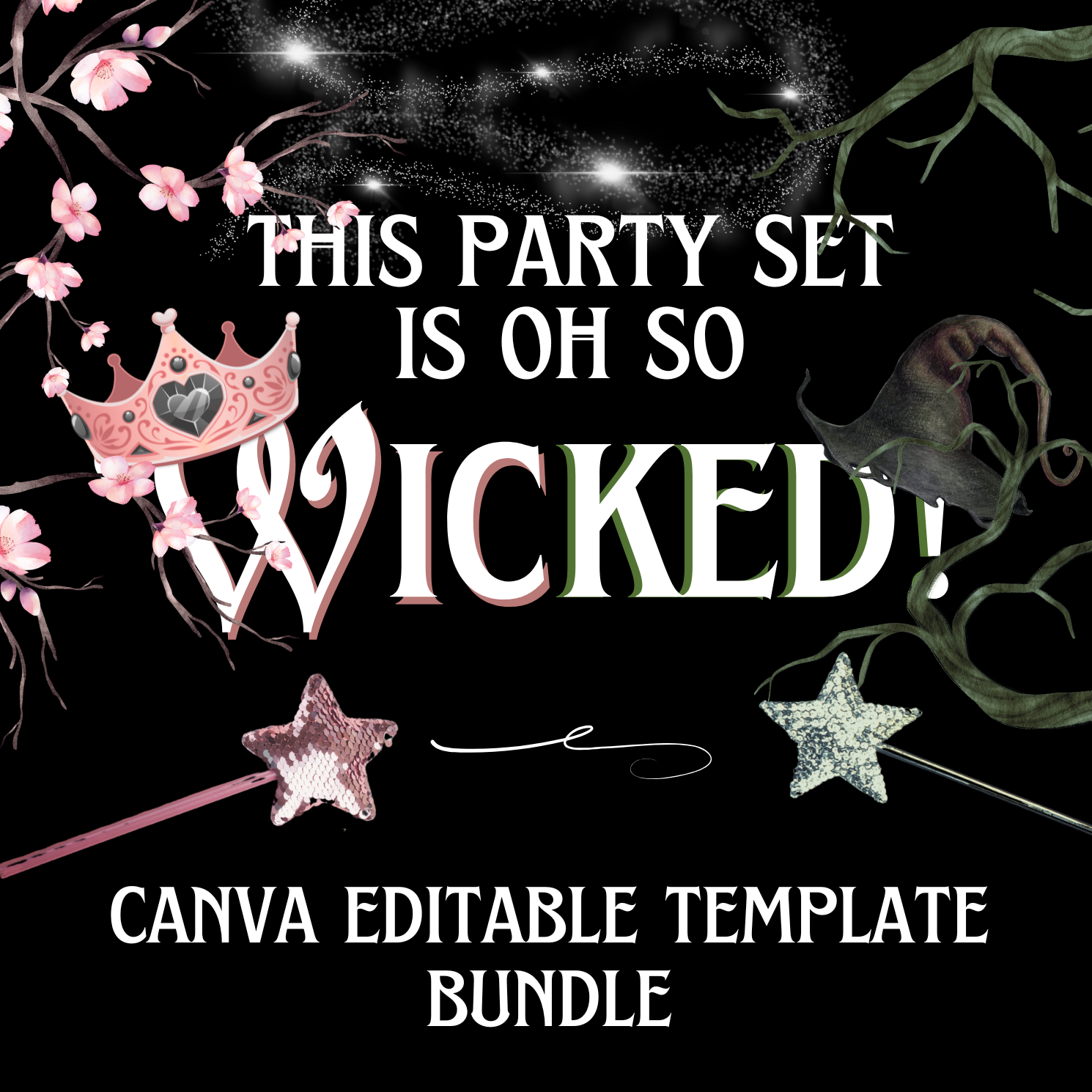 Wicked Theme Party Bundle | Complete Birthday Decorations & Invitation ...